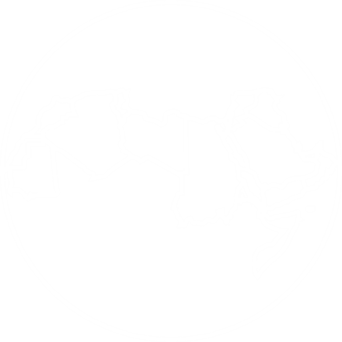 Interton Hearing Aids - Interton online hearing test | Interton - Brasil